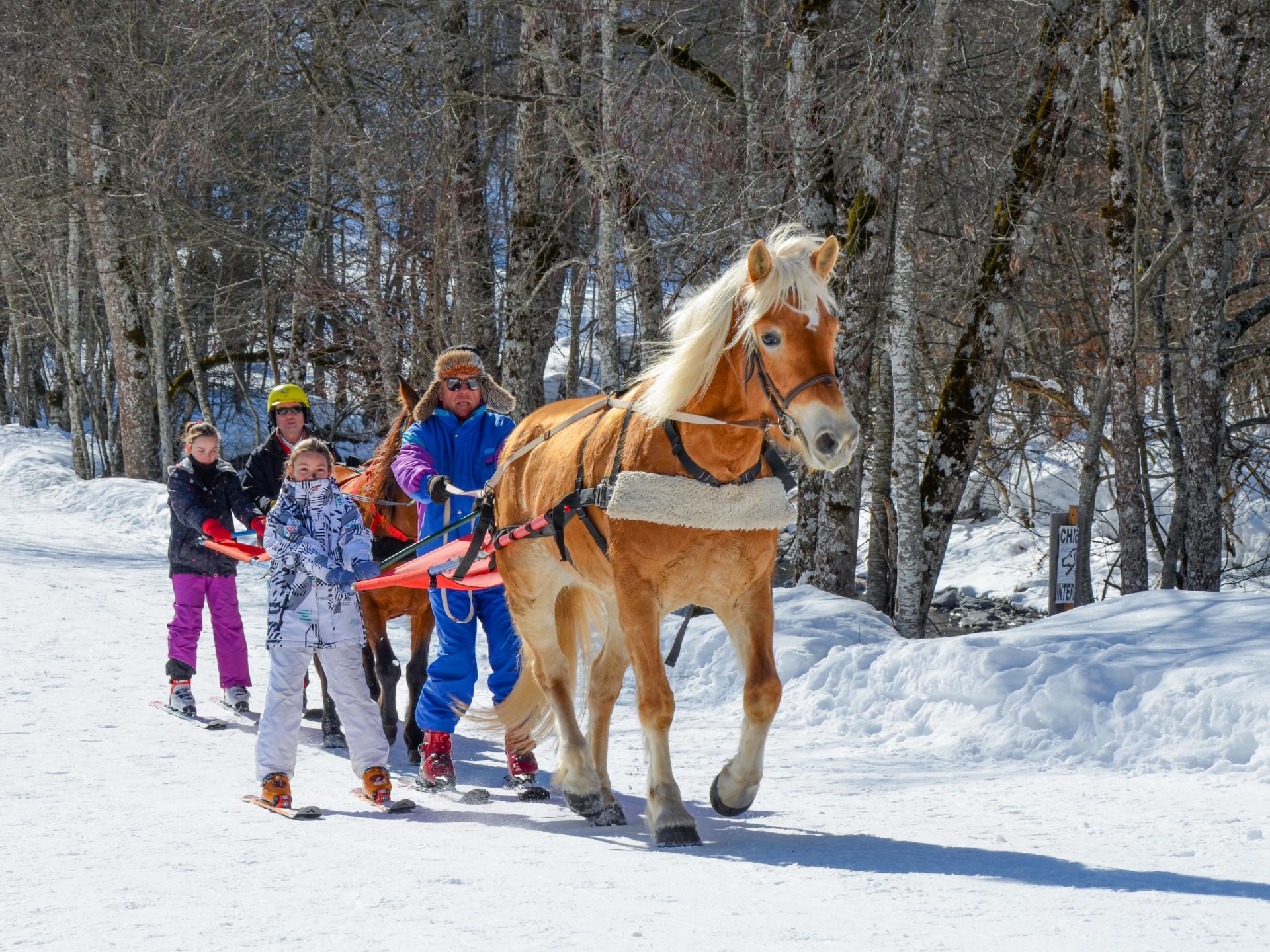 Toutes les Activités à Flumet / St Nicolas la Chapelle | Val d'Arly ...